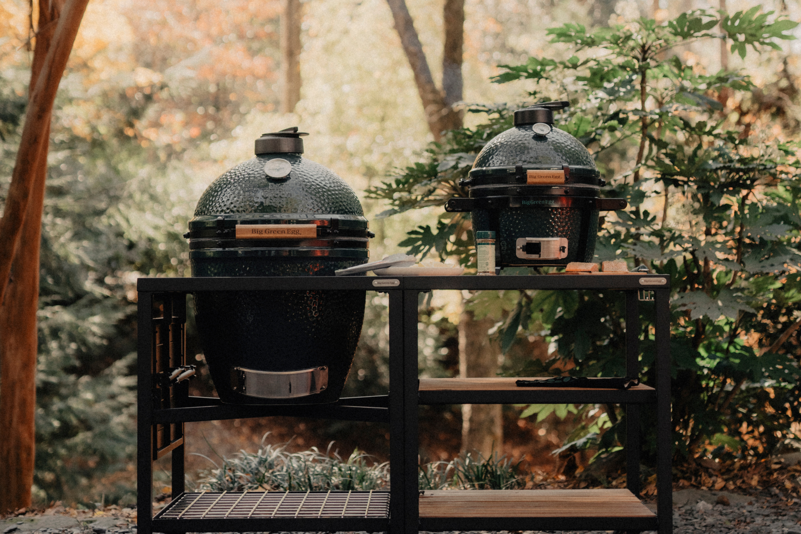 Big Green Egg Models